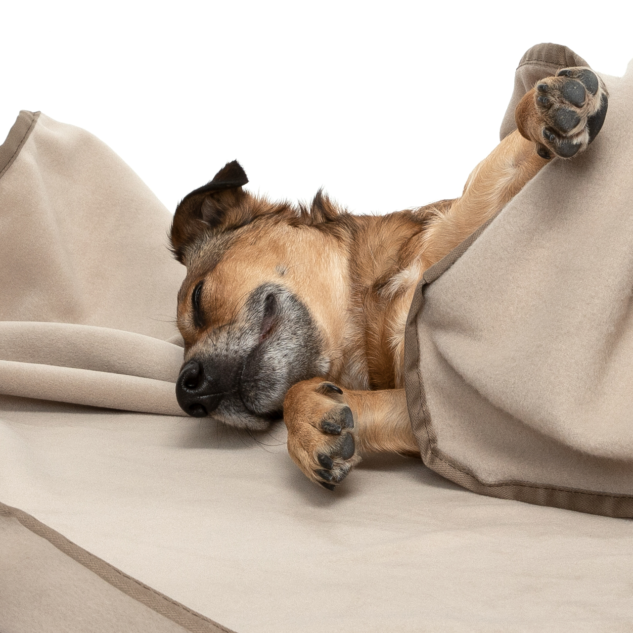 Doctor Bark | Hundeliegeflächen in Manufaktur-Qualität